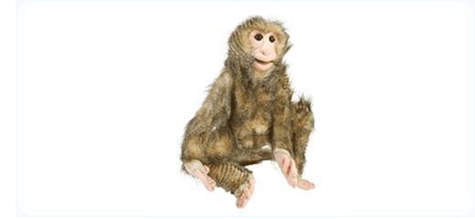 Monkey Puppets - Full Body, Finger & Hand Puppets – The Puppet Store